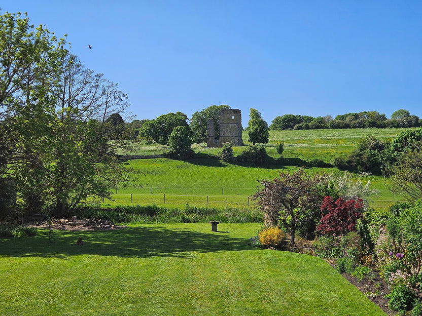 Specialty Coffee Roasters in Scarborough, North Yorkshire – Forge ...